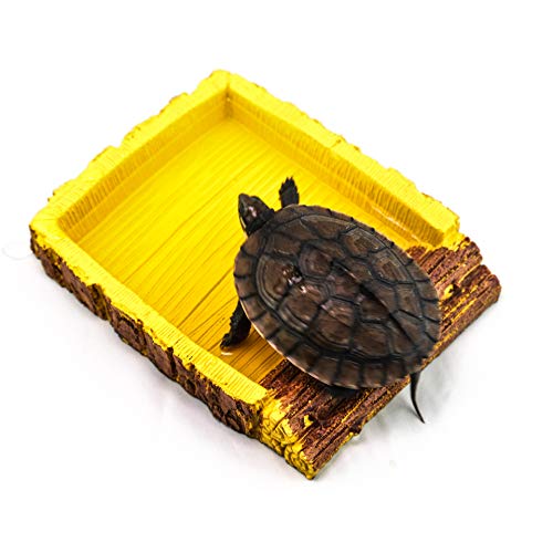 AQUA KT Reptile Ramp Water Bowl Food Dish for Lizard Snake Tortoise Beard Dragon Amphibians Feeding Terrarium Habitat