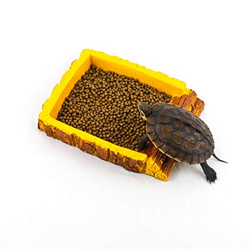 AQUA KT Reptile Ramp Water Bowl Food Dish for Lizard Snake Tortoise Beard Dragon Amphibians Feeding Terrarium Habitat