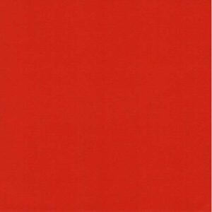 Ruby Red Cardstock - 12 x 12 inch - 80Lb Cover - 25 Sheets - Clear Path Paper