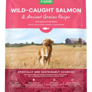 Open Farm Wild-Caught Salmon & Ancient Grains Dry Dog Food, Sustainably Fished Salmon Recipe with Wholesome Grains and No Artificial Flavors or Preservatives, 4 lbs