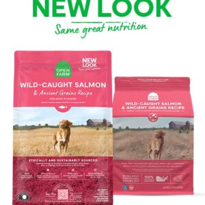 Open Farm Wild-Caught Salmon & Ancient Grains Dry Dog Food, Sustainably Fished Salmon Recipe with Wholesome Grains and No Artificial Flavors or Preservatives, 4 lbs