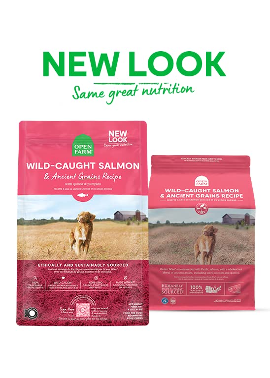 Open Farm Wild-Caught Salmon & Ancient Grains Dry Dog Food, Sustainably Fished Salmon Recipe with Wholesome Grains and No Artificial Flavors or Preservatives, 4 lbs