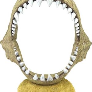 Penn-Plax Deco-Replicas Shark Jaw Aquarium Ornament – Safe for Freshwater and Saltwater Tank Setups