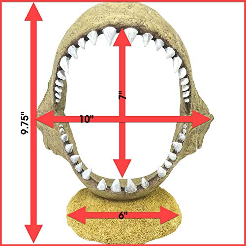 Penn-Plax Deco-Replicas Shark Jaw Aquarium Ornament – Safe for Freshwater and Saltwater Tank Setups