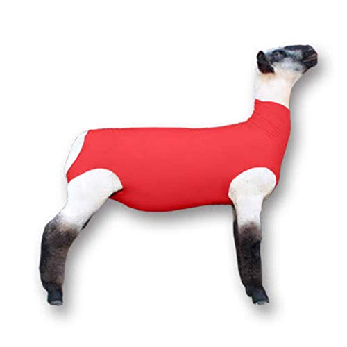 Show Pro Red Spandex Lamb Tube for Show Sheep & Lamb - Show Livestock Supplies: Sheep Covers & Blankets (Large)