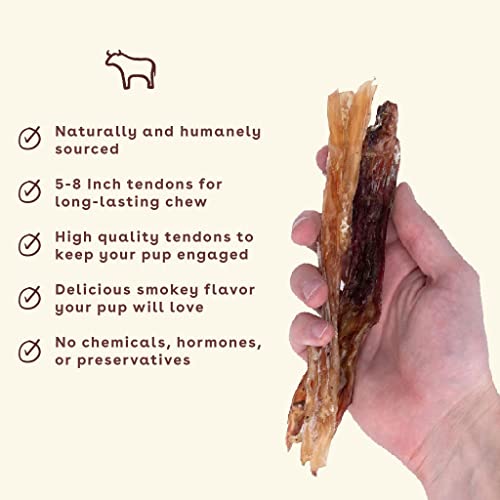 Pupford Beef Tendon Chews for Dogs | Cleans Teeth, Teaches Proper Chewing & Contains Glucosamine to Help Joints | Extra Thick, Long-Lasting, Natural Ingredients, Low Calorie (4 Count)