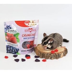 Crunchez Berry Blend - Crunchy Fruit Flavored Treat Bites - Sugar Gliders, Squirrels, Marmosets, Prairie Dogs, Hamsters, Chinchillas, Exotic Birds, Rabbits, Guinea Pigs, Degus, Small Pets… (2.5 oz.)