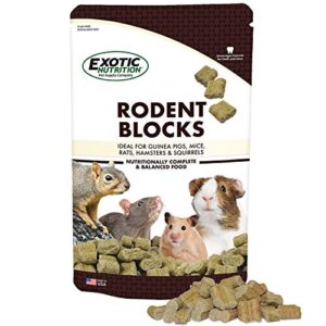 rodent blocks - nutritional rodent food - for rats, mice, squirrels, degus (3 lb.)