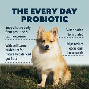 Four Leaf Rover Protect - Soil-Based Probiotics for Dogs with Food-Based Prebiotics for Gut Health and Immune Support - 12 to 60 Day Supply, Depending on Dog’s Weight - Vet Formulated