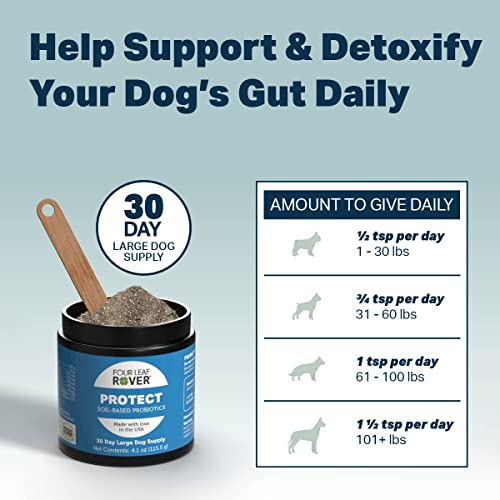 Four Leaf Rover Protect - Soil-Based Probiotics for Dogs with Food-Based Prebiotics for Gut Health and Immune Support - 12 to 60 Day Supply, Depending on Dog’s Weight - Vet Formulated