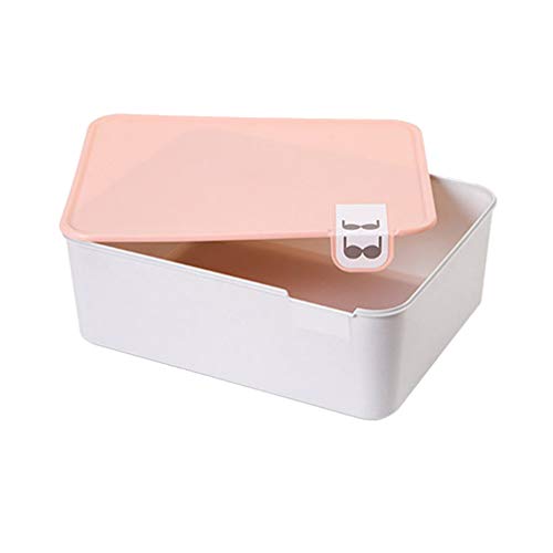 Cabilock Bra Storage Box with Lid Plastic Underwear Drawer Closet Organizer Bra Dividers Storage Boxes for Bedroom Dormitory