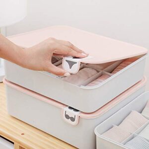 Cabilock Bra Storage Box with Lid Plastic Underwear Drawer Closet Organizer Bra Dividers Storage Boxes for Bedroom Dormitory