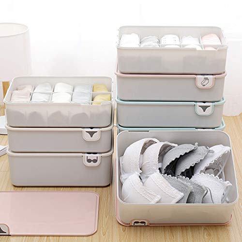 Cabilock Bra Storage Box with Lid Plastic Underwear Drawer Closet Organizer Bra Dividers Storage Boxes for Bedroom Dormitory