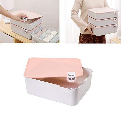 Cabilock Bra Storage Box with Lid Plastic Underwear Drawer Closet Organizer Bra Dividers Storage Boxes for Bedroom Dormitory