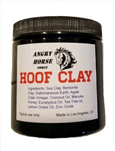 angry horse forge ellie's hoof clay