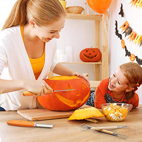 D-FantiX Halloween Pumpkin Carving Kit, 13 Pieces Professional Stainless Steel Pumpkin Carving Tools Kit with Stencils and Carrying Case - Carve Sculpt Jack-O-Lanterns Halloween Decorations DIY