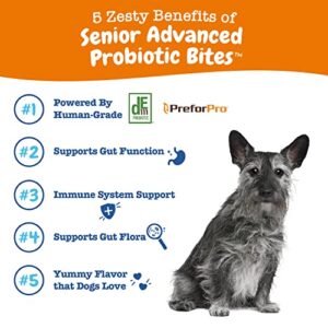 Zesty Paws Probiotics for Dogs - Digestive Enzymes for Gut Flora, Digestive Health, Diarrhea & Bowel Support - Clinically Studied DE111 - Dog Supplement Soft Chew for Pet Immune System - Advanced