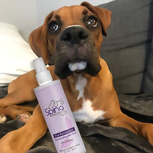 Spina Organics, All-Natural PET Deodorizer Fur Refresher Spray - Rejuvenating Mist with Botanical and Essential Oils, Featuring Primrose Oil in a Floral Scent Made in The USA 9 oz