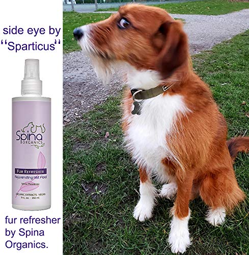 Spina Organics, All-Natural PET Deodorizer Fur Refresher Spray - Rejuvenating Mist with Botanical and Essential Oils, Featuring Primrose Oil in a Floral Scent Made in The USA 9 oz