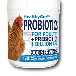 HealthyGut Probiotics for Chickens & Poultry, All-Natural Digestive System Dietary Supplement (90 Scoops)