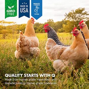 HealthyGut Probiotics for Chickens & Poultry, All-Natural Digestive System Dietary Supplement (90 Scoops)