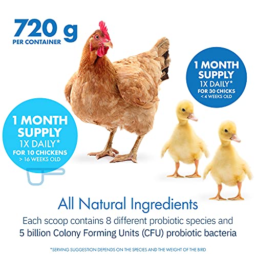 HealthyGut Probiotics for Chickens & Poultry, All-Natural Digestive System Dietary Supplement (90 Scoops)