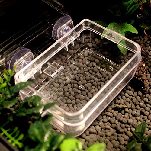 Hffheer Reptile Feeder Anti-Ese Amphibians Feeder Dish Food Water Bowl Translucent Feeding Basin with Suction Cup for Tortoise Gecko Snakes Lizard