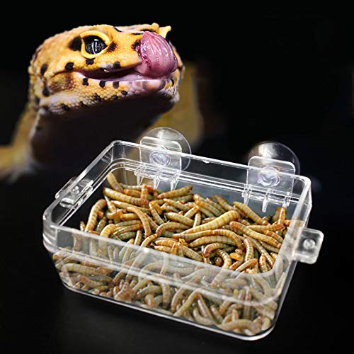 Hffheer Reptile Feeder Anti-Ese Amphibians Feeder Dish Food Water Bowl Translucent Feeding Basin with Suction Cup for Tortoise Gecko Snakes Lizard