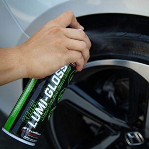 Renegade Products Lumi-Gloss Aerosol High Shine Spray for Plastics, Tires, Undercarriage & More, 13 Oz