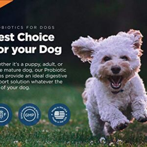 Probiotic for Dogs with Natural Digestive Enzymes. A Prebiotics + Digestive Enzyme Product for Dogs + Pumpkin. 120 Servings. Diarrhea & Upset Stomach Relief + Gas, Constipation, and Allergy Relief.