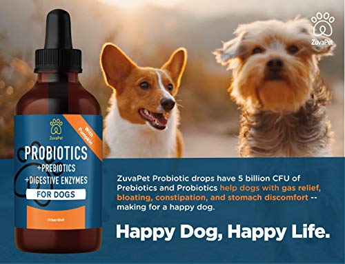 Probiotic for Dogs with Natural Digestive Enzymes. A Prebiotics + Digestive Enzyme Product for Dogs + Pumpkin. 120 Servings. Diarrhea & Upset Stomach Relief + Gas, Constipation, and Allergy Relief.