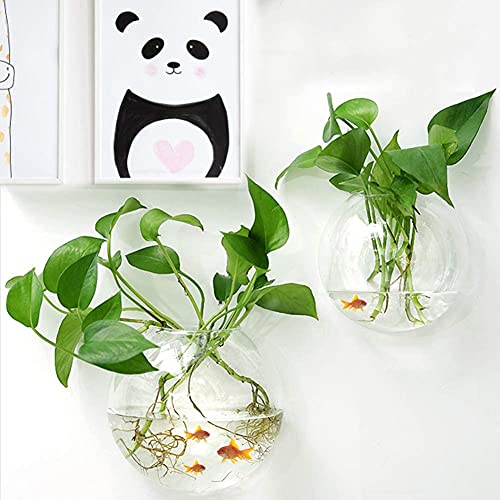 2Pack 5.9'' Wall Mounted Clear Acrylic Round Fish Tank Flower Pot Vase Decoration Wall Hanging Mount Fish Bowl Fish Bubble Aquarium Decorative Plant Pot Hanging Hydroponic Pot