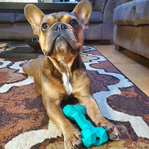 Willie Bones | Modern Dog Chew Toy | Almost Indestructible Dog Toys for Aggressive Chewers | Tough + Durable + Strong Natural Rubber Bone Toy for Small + Large Dogs + Puppy Teething | Boredom Chews