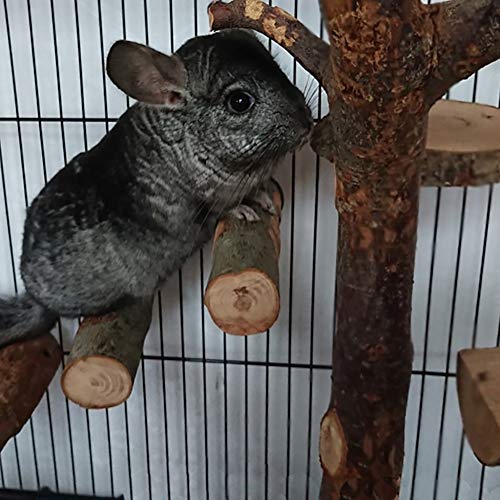 QBLEEV Hamster Chew Toys for Teeth, Wood Chew Sticks Stands Perches for Squirrels Rabbits, Cage Supplies Platform Stands for Birds Parrot Guinea Pigs Chinchilla 3- Pack