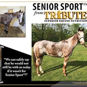 Senior Sport Textured Feed for Horses