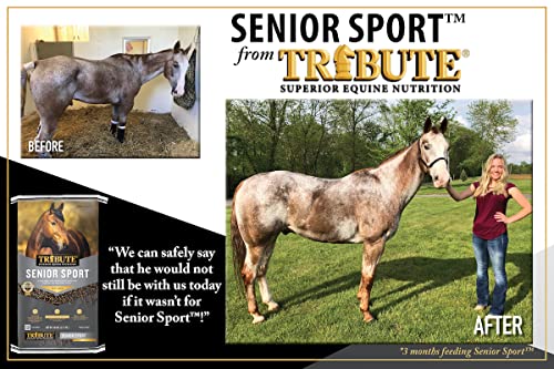 Senior Sport Textured Feed for Horses