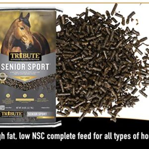 Senior Sport Textured Feed for Horses