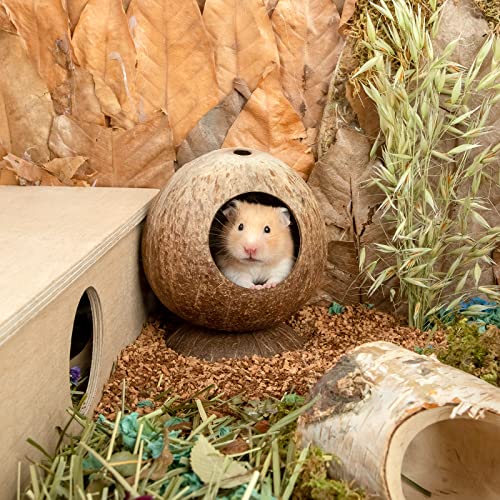 andwe Coconut Hut Hamster House Bed for Gerbils Mice Small Animal Cage Habitat Decor