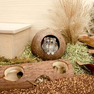 andwe Coconut Hut Hamster House Bed for Gerbils Mice Small Animal Cage Habitat Decor