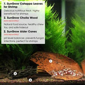 SunGrow Catappa Indian Almond Leaves for Shrimp Aquariums, 4-7 Inches Long Leaf (10 Pcs), Lowers Your Tank's pH and Pet Stress, Creates Better Habitat Environment, Unique Practical Aquarium Tank Decor