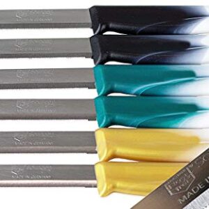 SMI –12 Pcs Paring Knife Set Vegetable Knife Serrated Fruit Knife Solingen Knife Made in Germany