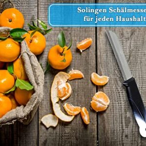 SMI –12 Pcs Paring Knife Set Vegetable Knife Serrated Fruit Knife Solingen Knife Made in Germany