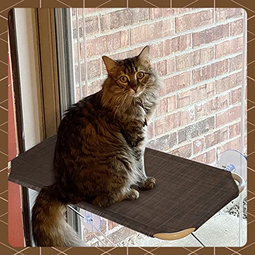 All Around 360° Sunbath and Lower Support Safety Iron Cat Window Perch, Cat Hammock Window Seat for Any Cats (L, Grey)