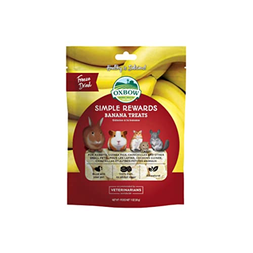 Oxbow (8 Pack) Simple Rewards Treats - Small Animals Banana 1 oz