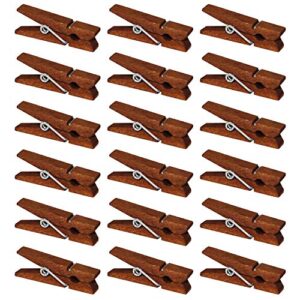 millennial essentials mini natural wooden clothespins, 60pcs, 1.4 inch photo paper peg pin craft clips for scrapbooking, arts & crafts, hanging photos (60pc rustic brown)