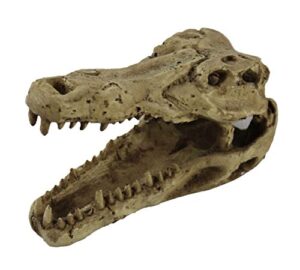 pangea reptile crocodile skull terrarium decoration, tan