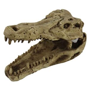 Pangea Reptile Crocodile Skull Terrarium Decoration, Tan