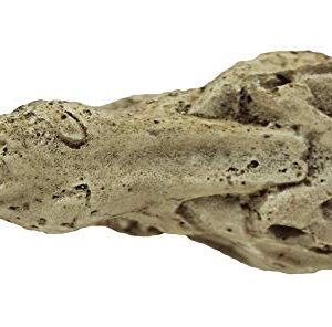 Pangea Reptile Crocodile Skull Terrarium Decoration, Tan