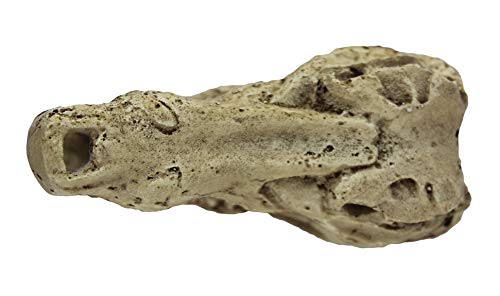 Pangea Reptile Crocodile Skull Terrarium Decoration, Tan