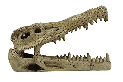 Pangea Reptile Crocodile Skull Terrarium Decoration, Tan